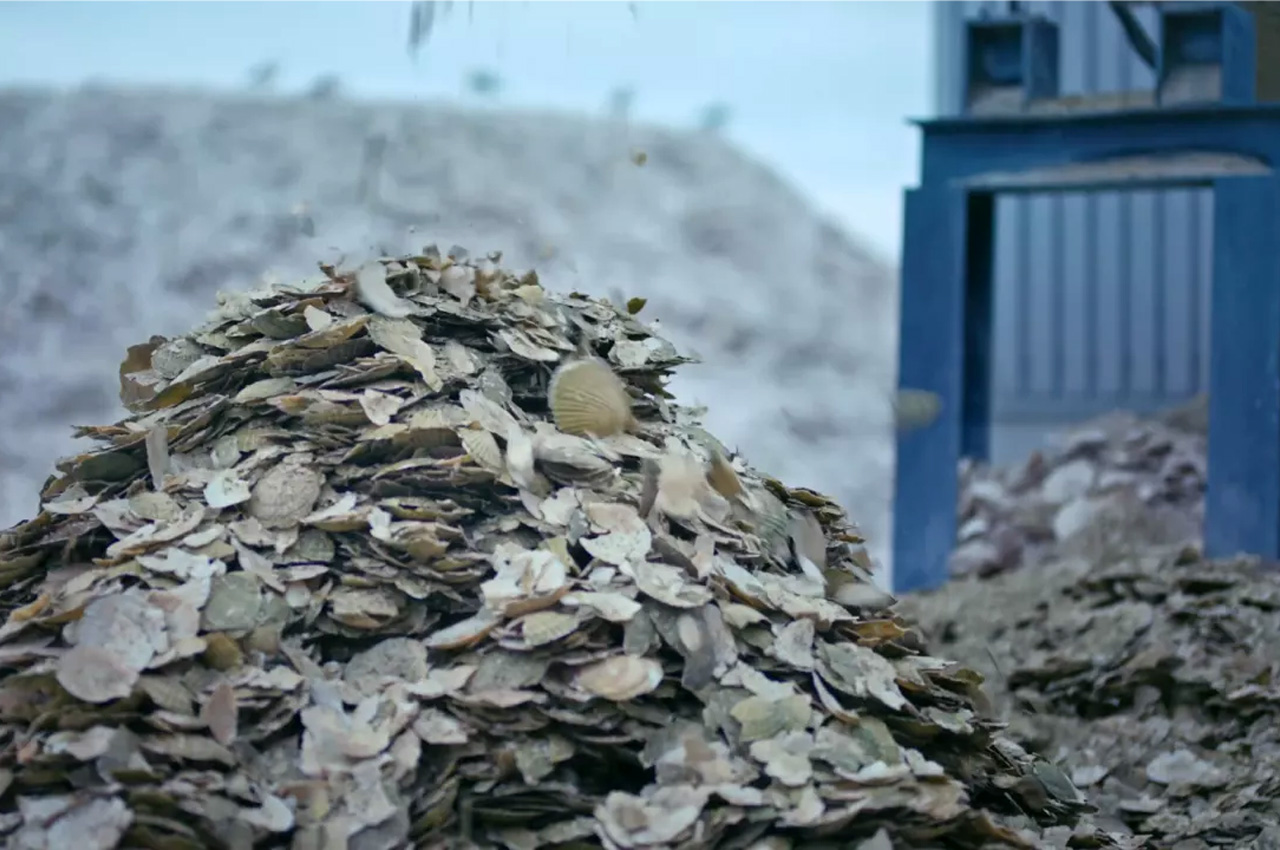 Material- Shells – The Circular People