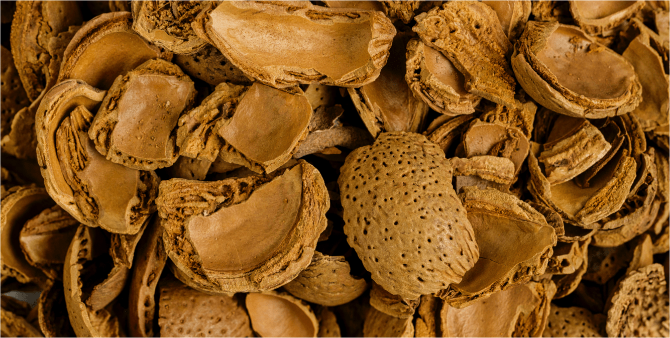 Material- Agricultural waste – The Circular People